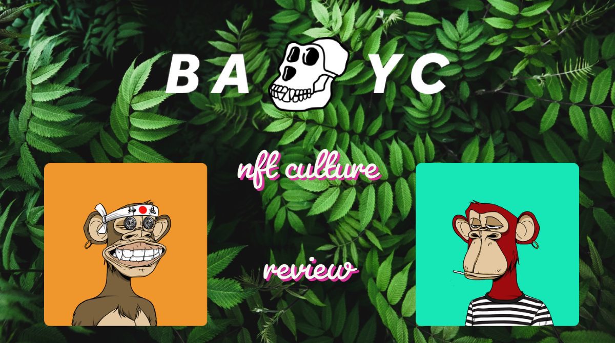 Bored Ape Yacht Club: The Latest NFT Collectable Craze? | NFT CULTURE ...