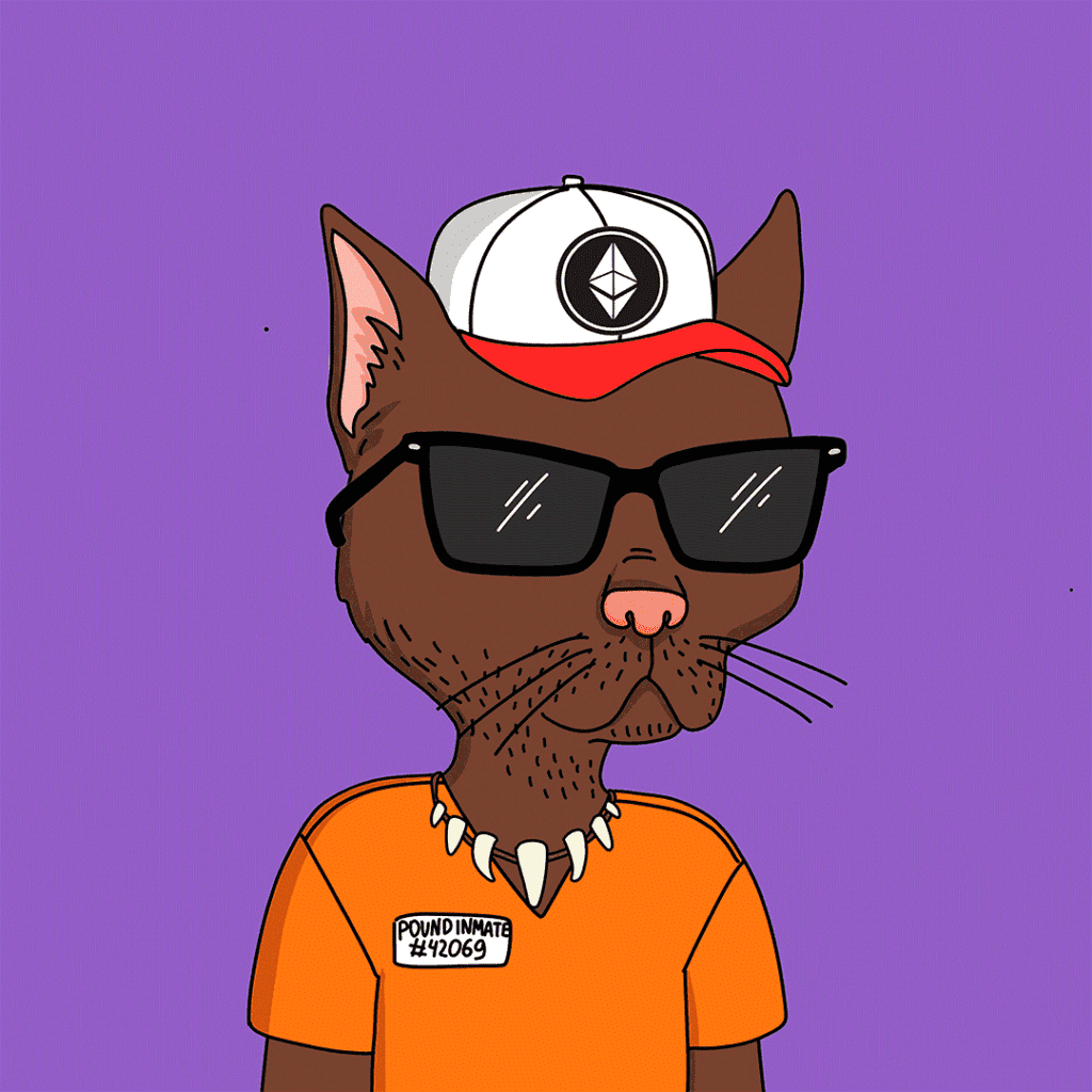 Gutter Cat NFTs : The Gang is coming with the next Avatar Based ...