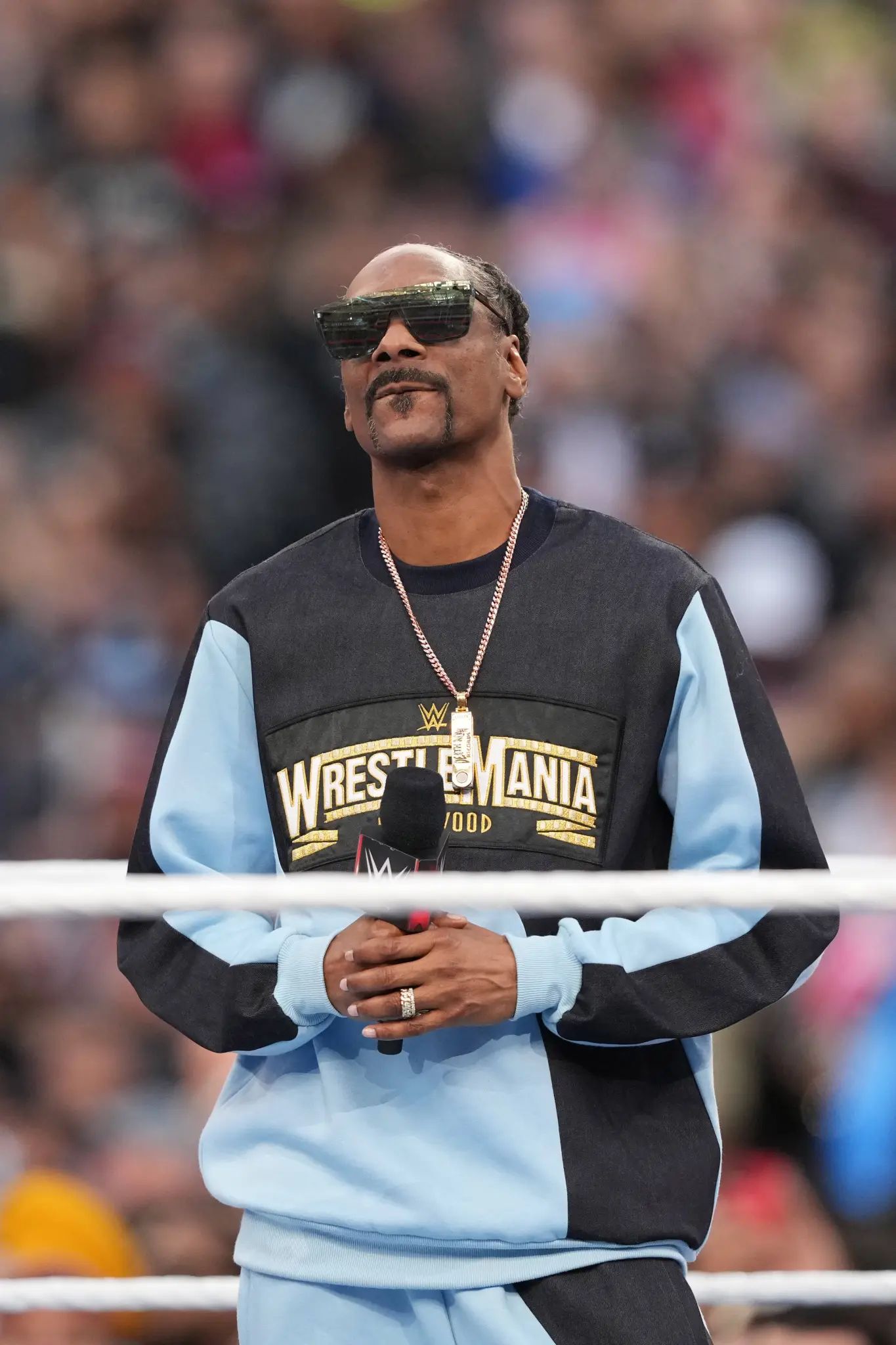 From Snoop Dogg to Drake: Why Music Icons Trust Ledger for Digital ...